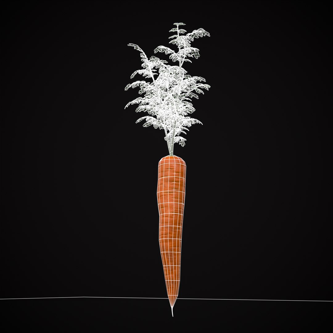 3D Carrots - TurboSquid 2202925