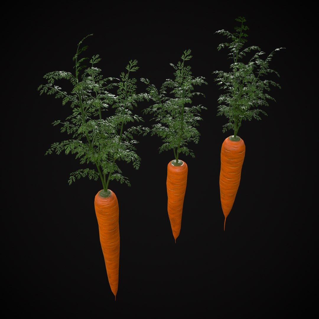 3D Carrots - TurboSquid 2202925