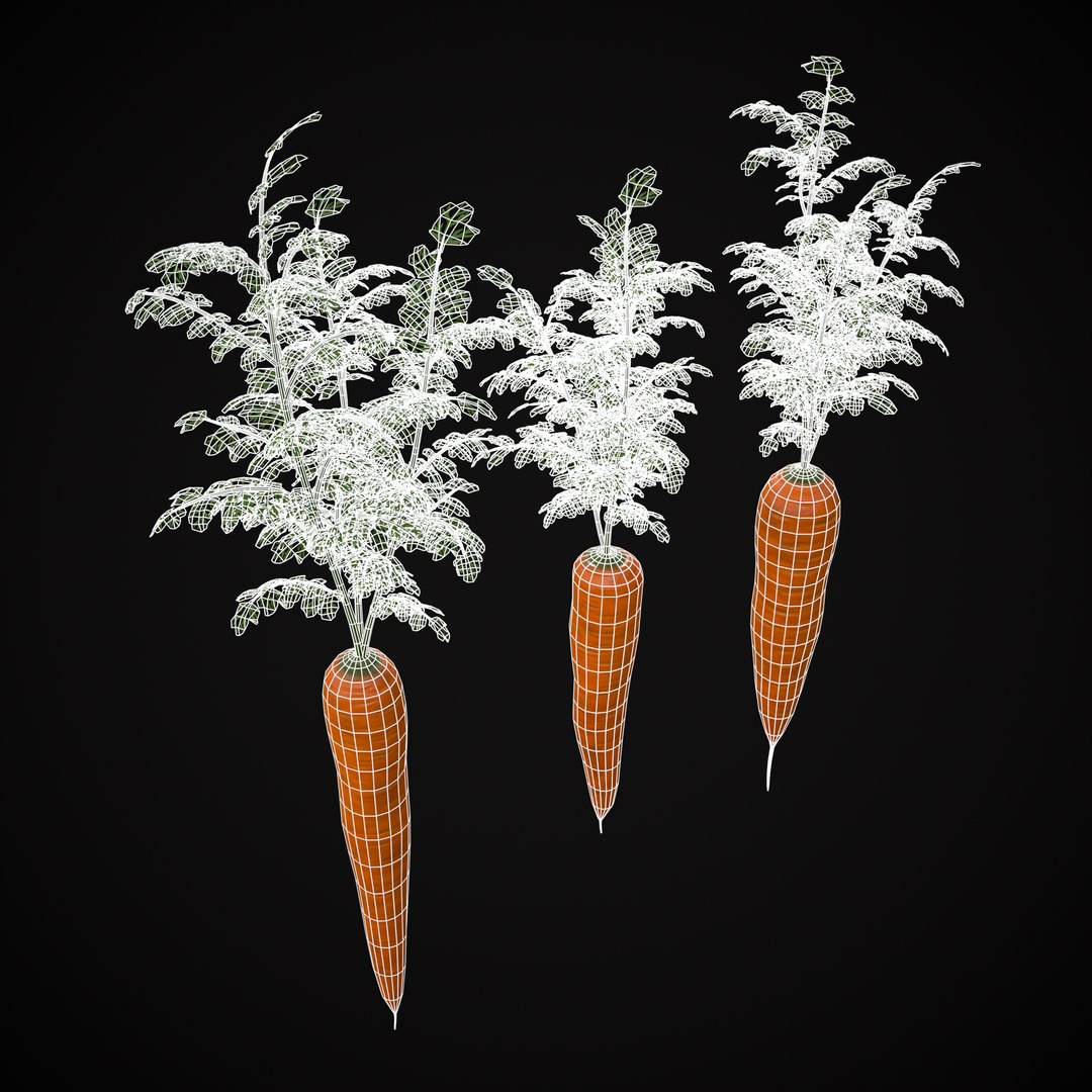 3D Carrots - TurboSquid 2202925