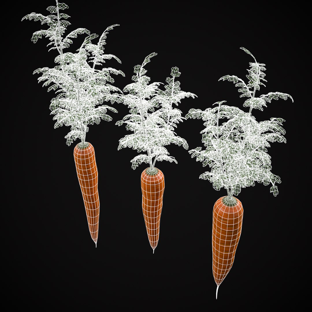 3D Carrots - TurboSquid 2202925