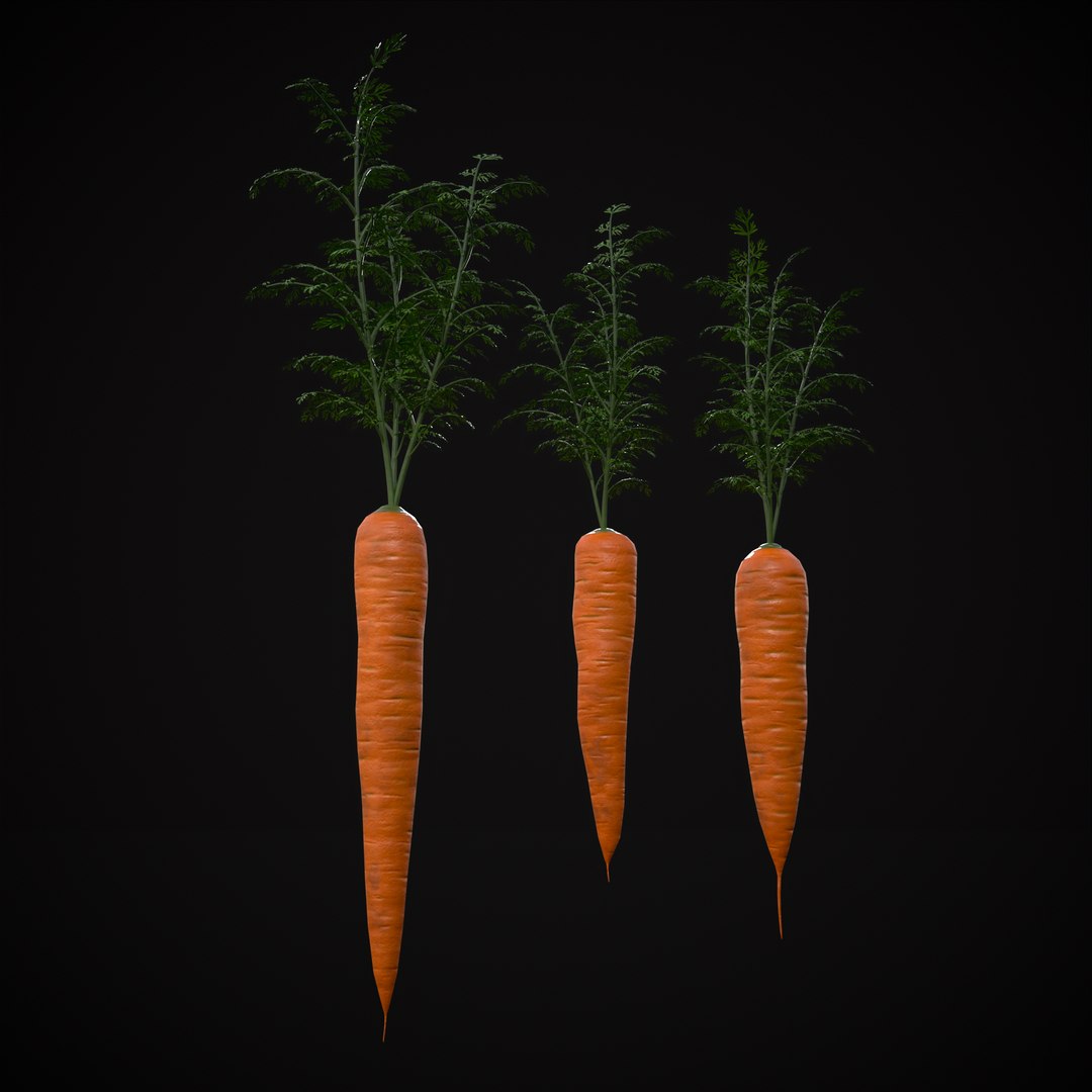 3D Carrots - TurboSquid 2202925