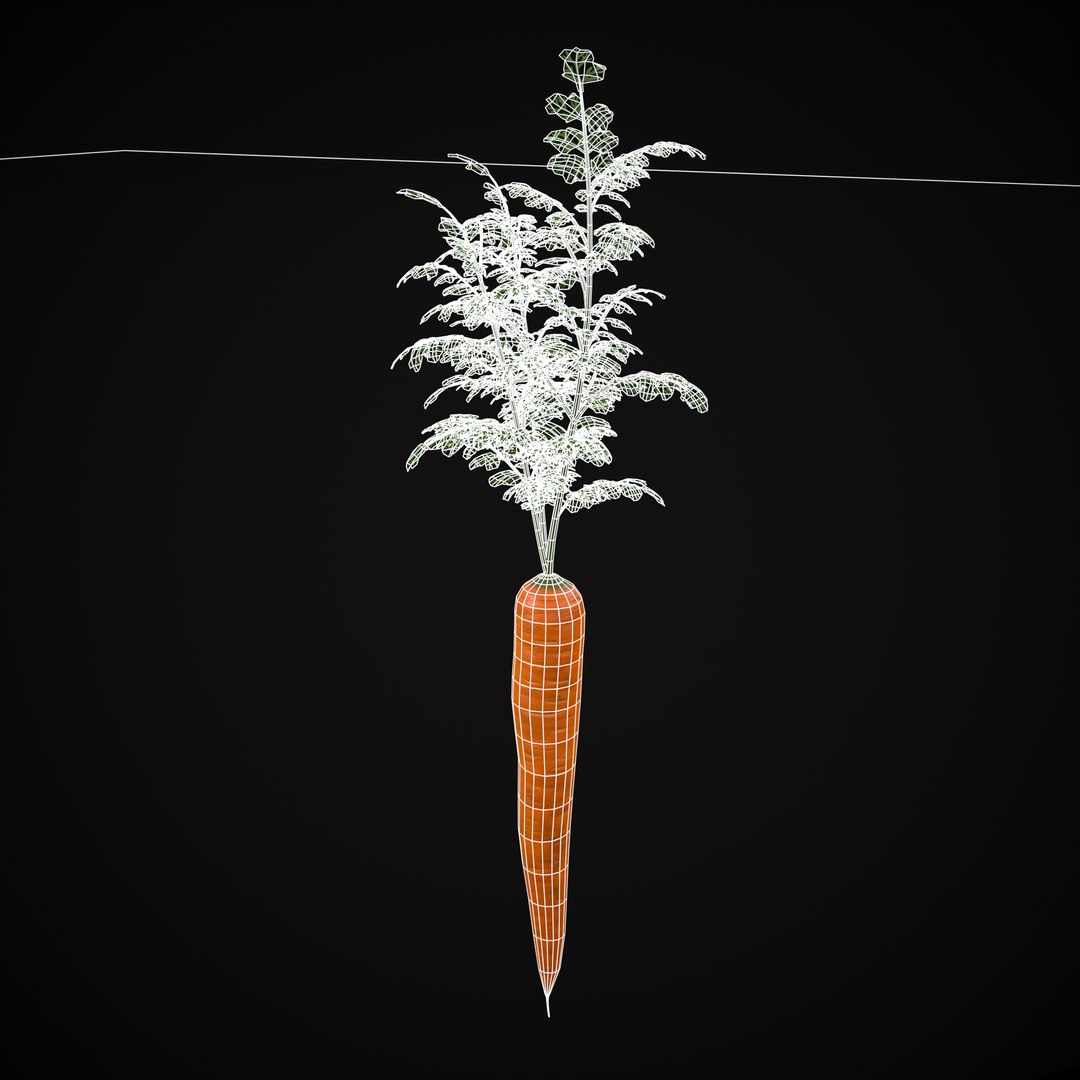 3D Carrots - TurboSquid 2202925