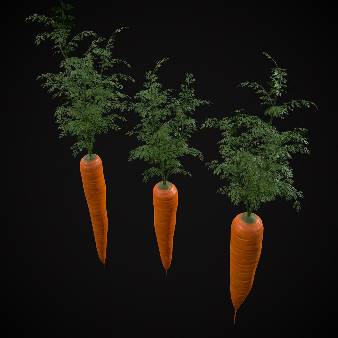 3D Carrots - TurboSquid 2202925