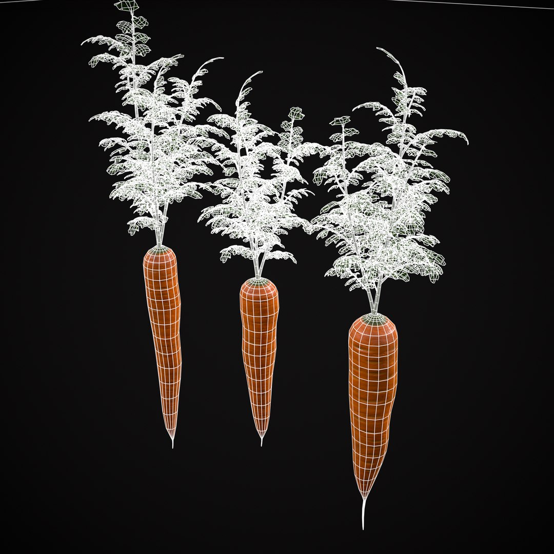 3D Carrots - TurboSquid 2202925