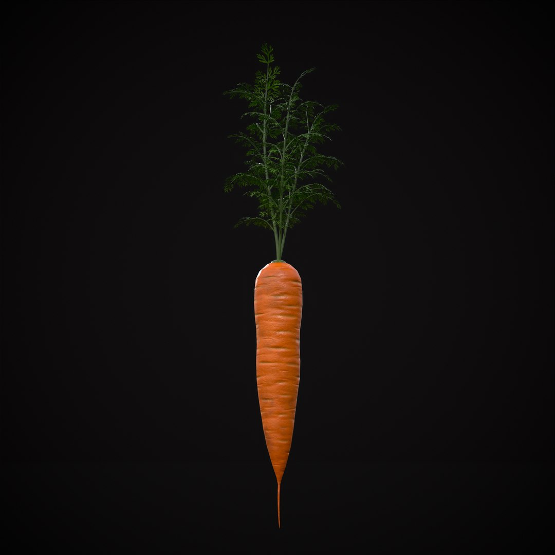 3D Carrots - TurboSquid 2202925