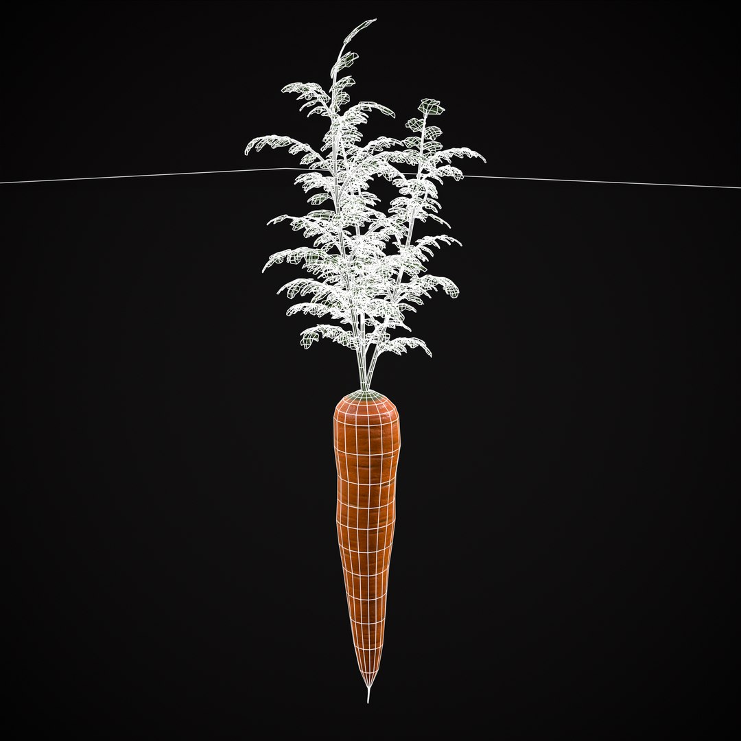 3D Carrots - TurboSquid 2202925