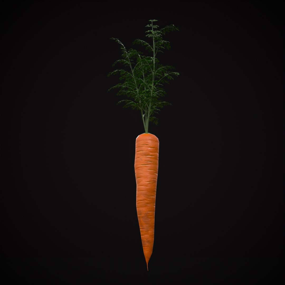 3D Carrots - TurboSquid 2202925