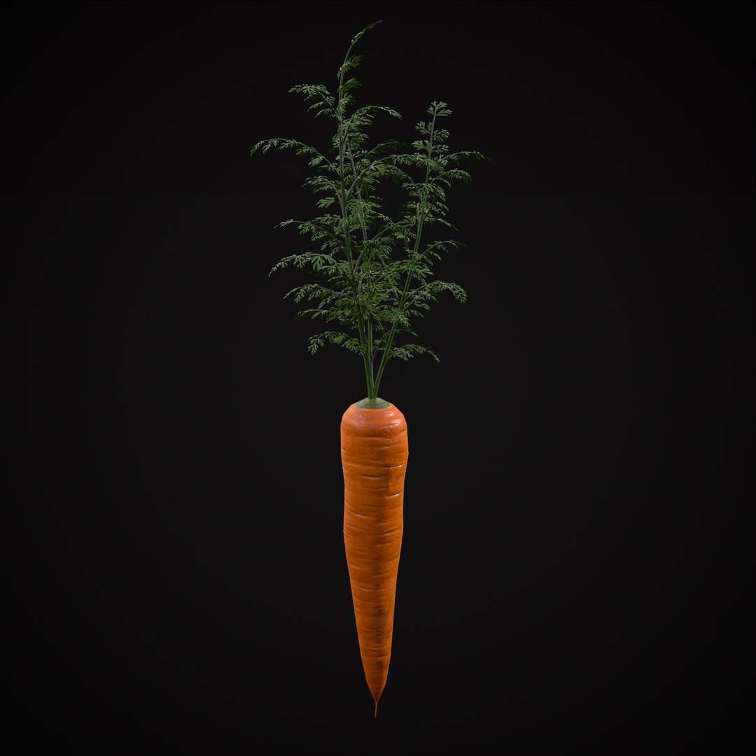 3D Carrots - TurboSquid 2202925