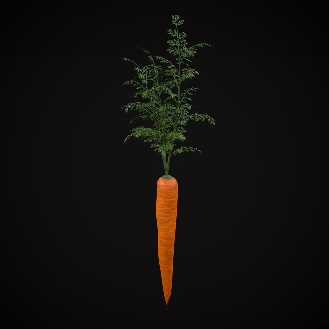3D Carrots - TurboSquid 2202925