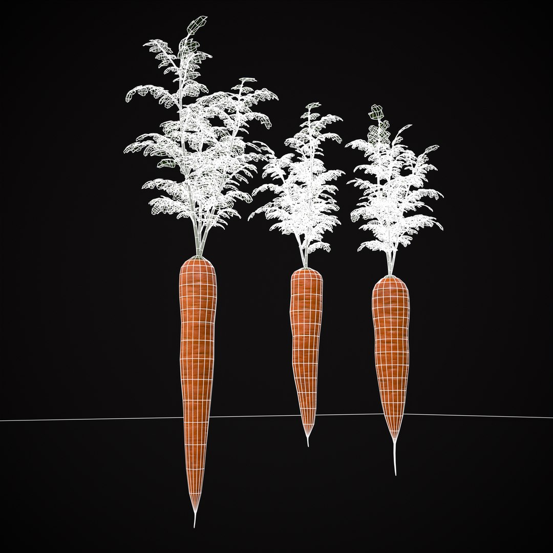 3D Carrots - TurboSquid 2202925