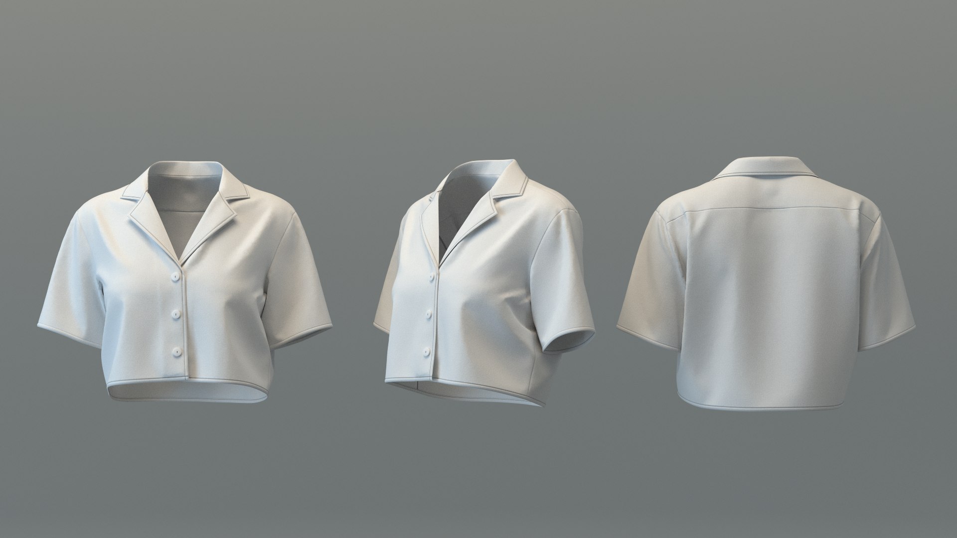 Cropped Shirt 3D model - TurboSquid 2149777
