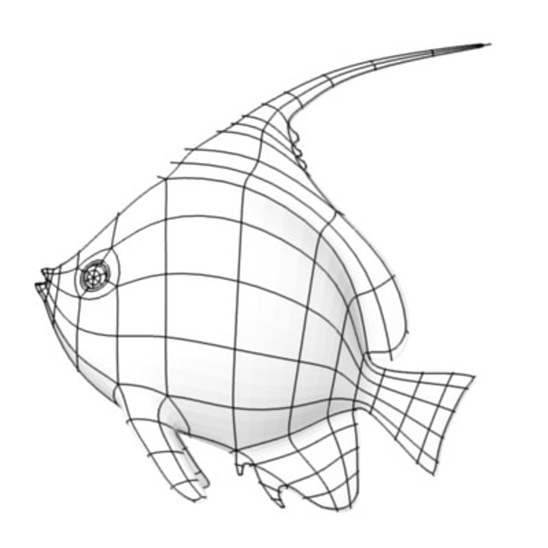Tropical Fish 3d Model