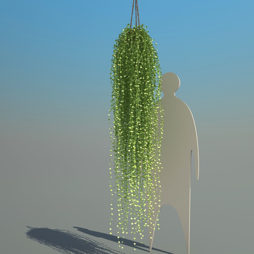3d model plants