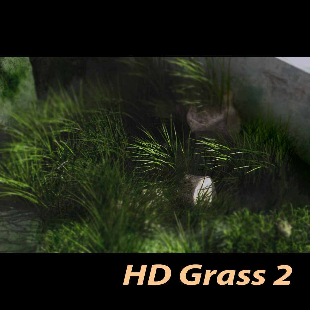 3d Plant Cover Ground Model