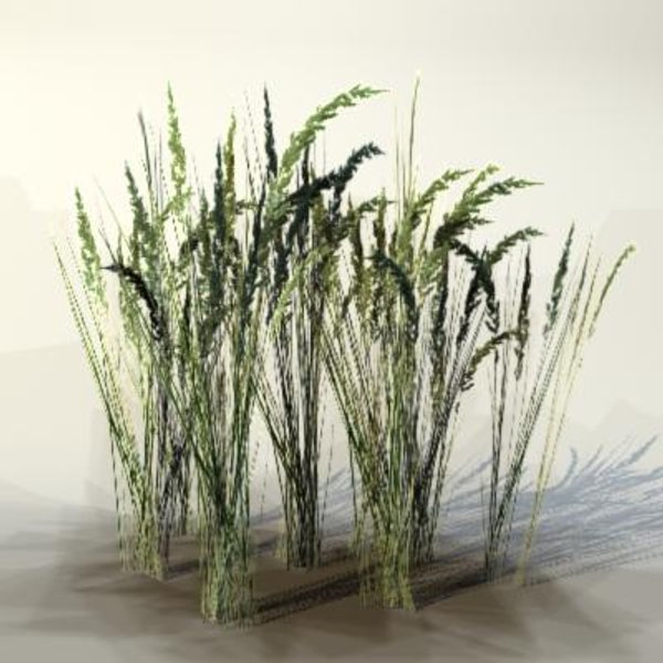 pc grass 3d max