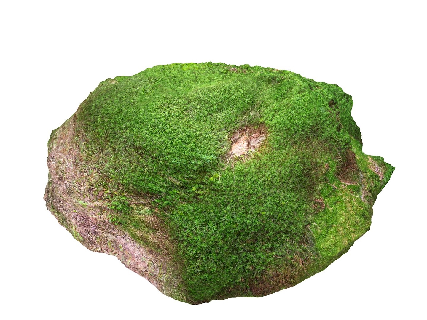3D Model Moss Rock 8k - TurboSquid 1179717