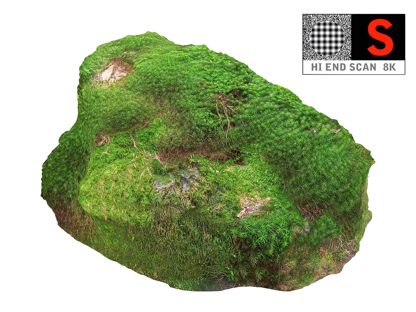 3D Model Moss Rock 8k - TurboSquid 1179717