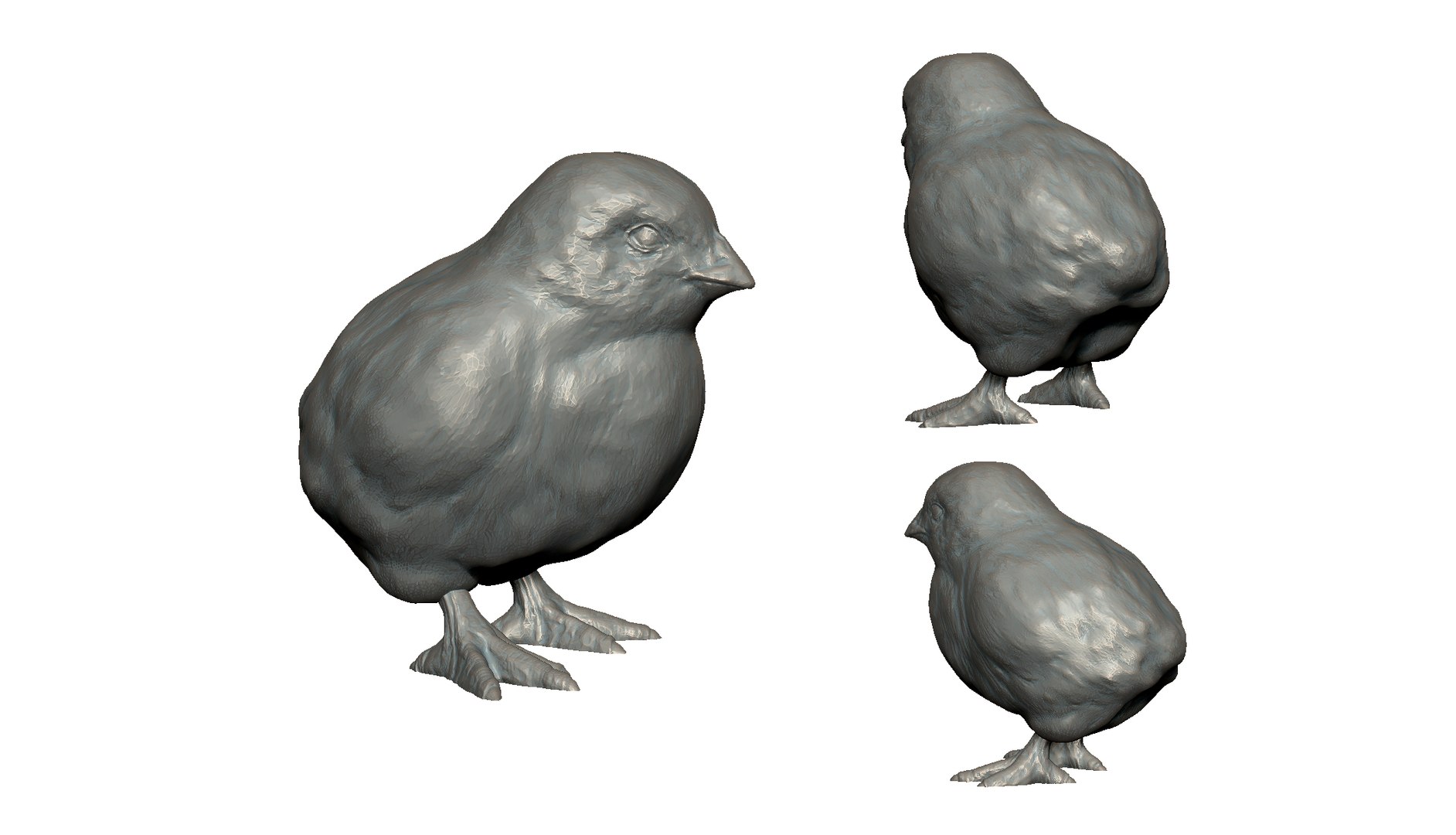 Chick 3D Model - TurboSquid 2342042