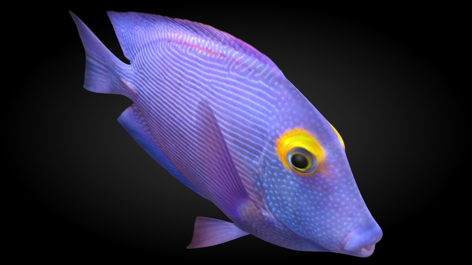 3D Model Kole Tang - TurboSquid 1199543