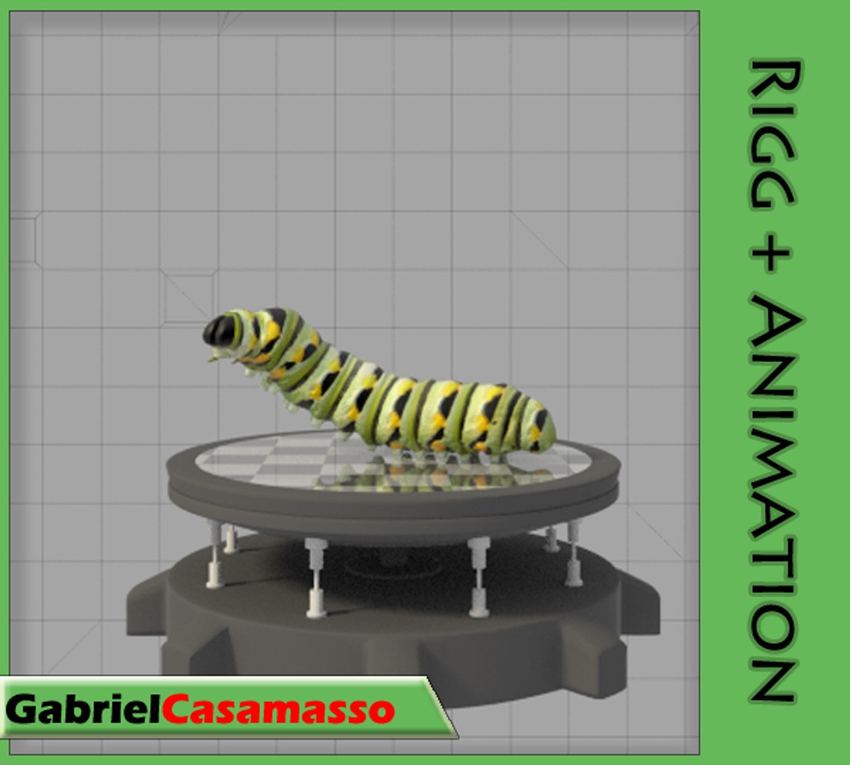 3d Model Of Monarch Larva