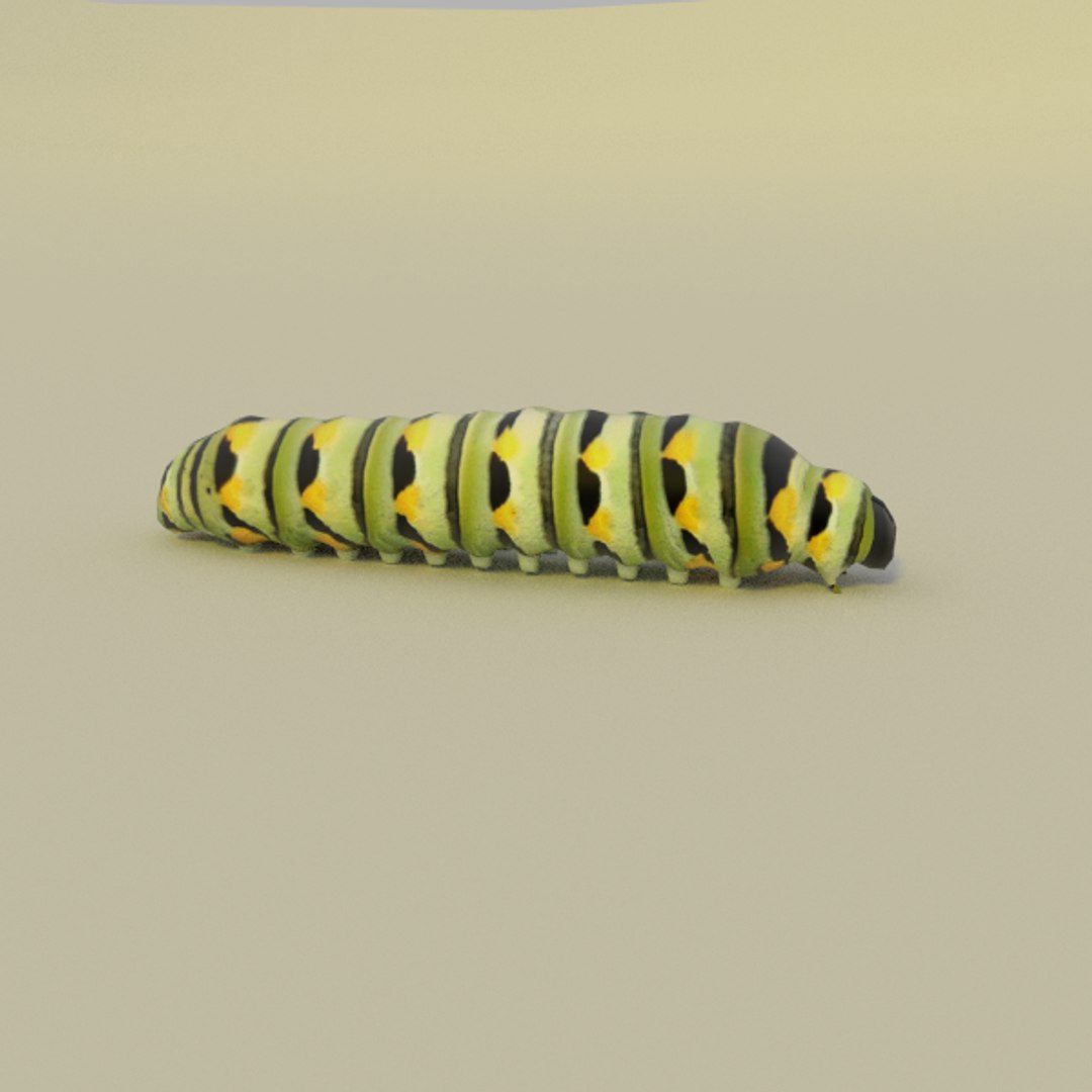 3d Model Of Monarch Larva