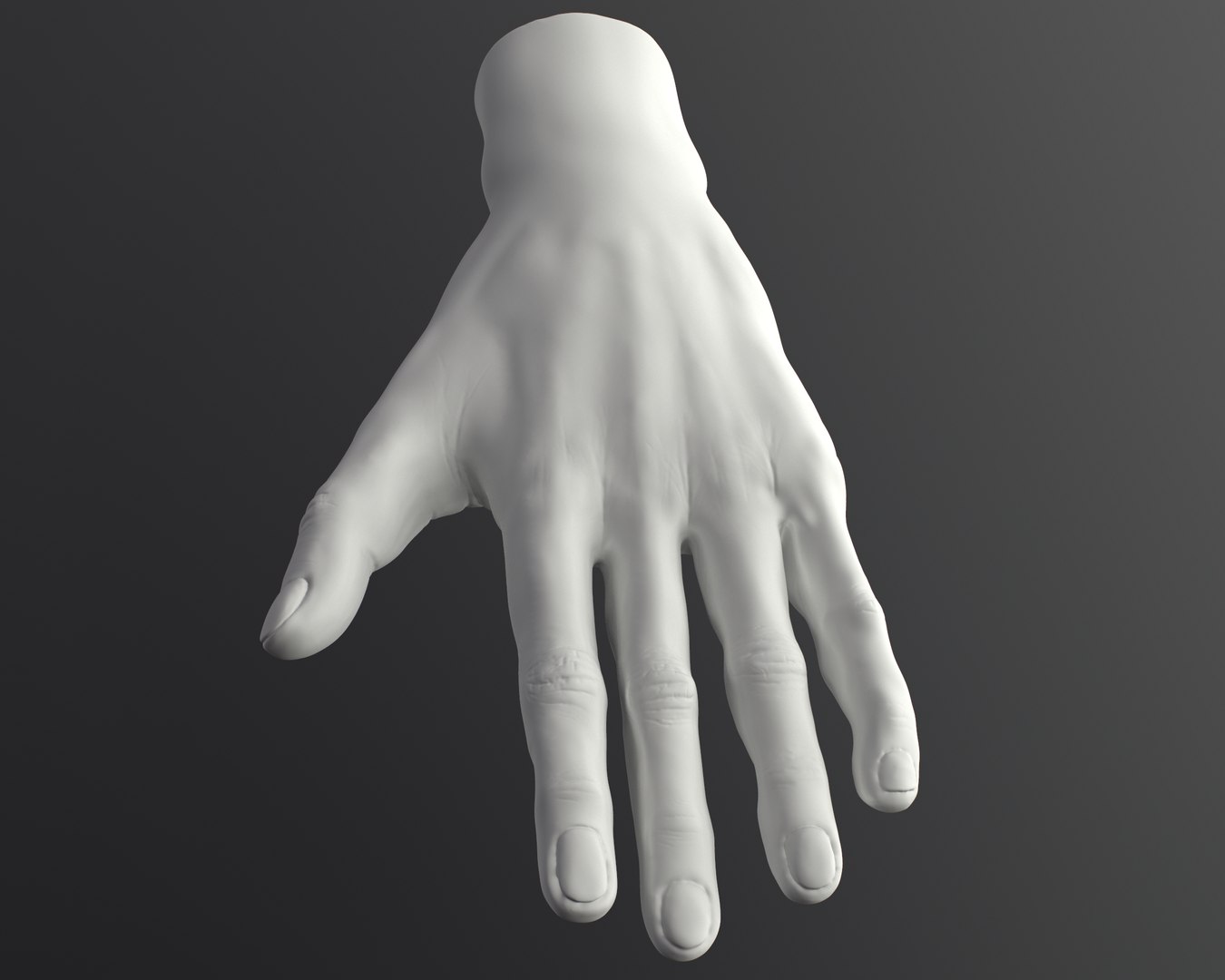 Male Hand 3D Model - TurboSquid 1589043