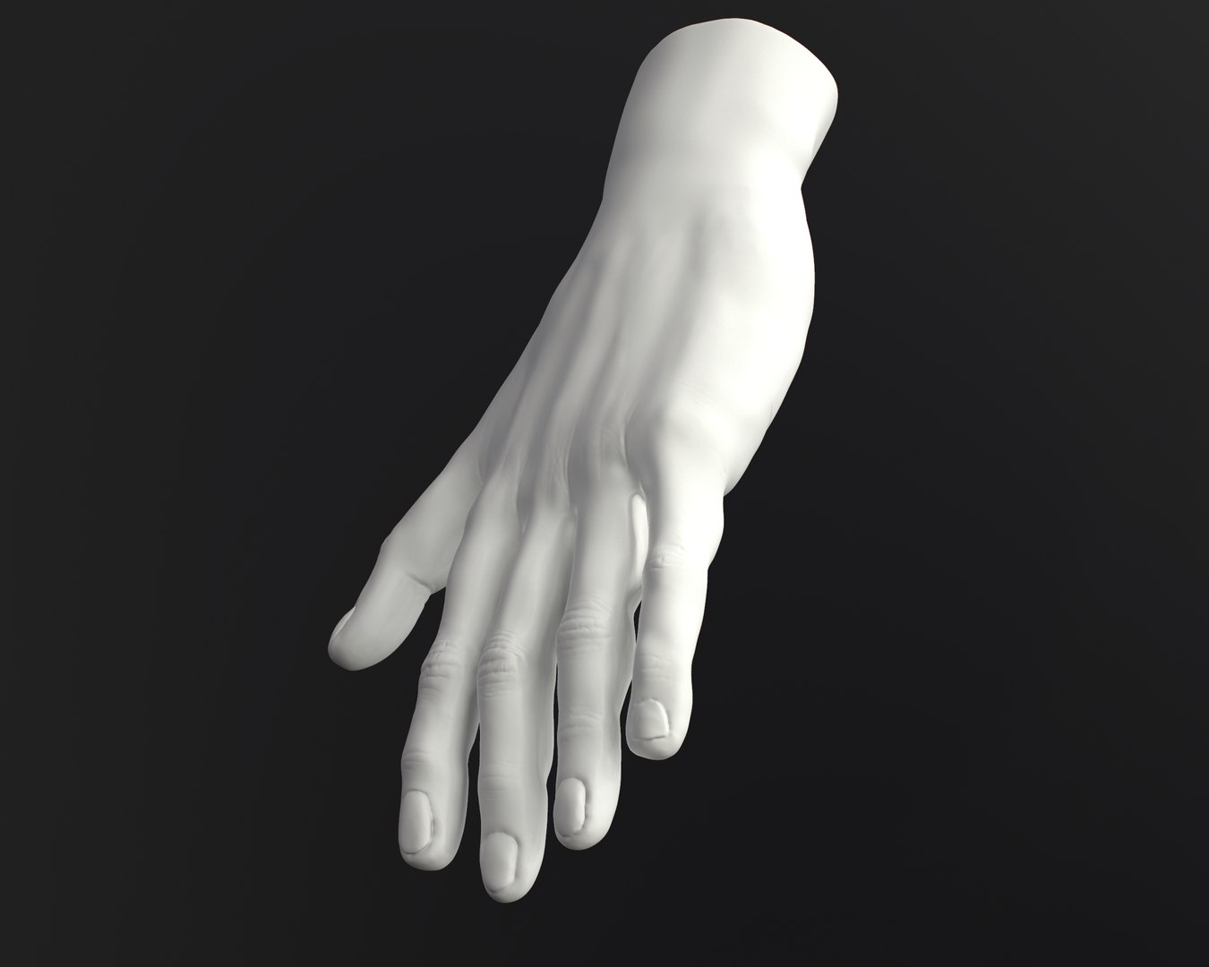 Male Hand 3D Model - TurboSquid 1589043