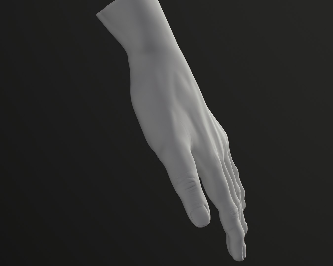 Male Hand 3D Model - TurboSquid 1589043