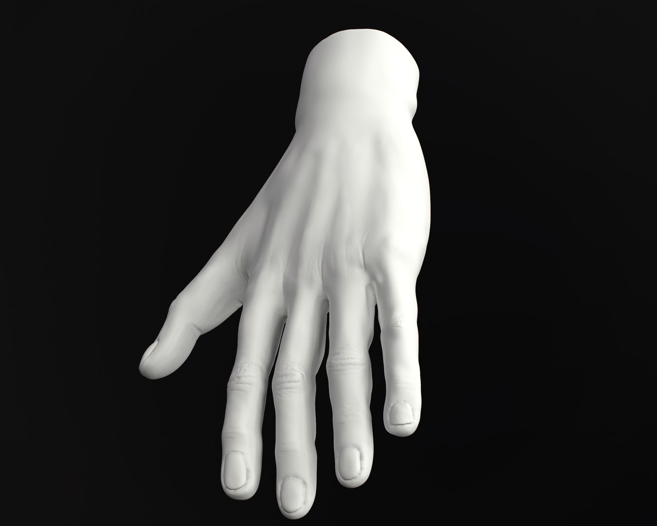 Male Hand 3D Model - TurboSquid 1589043