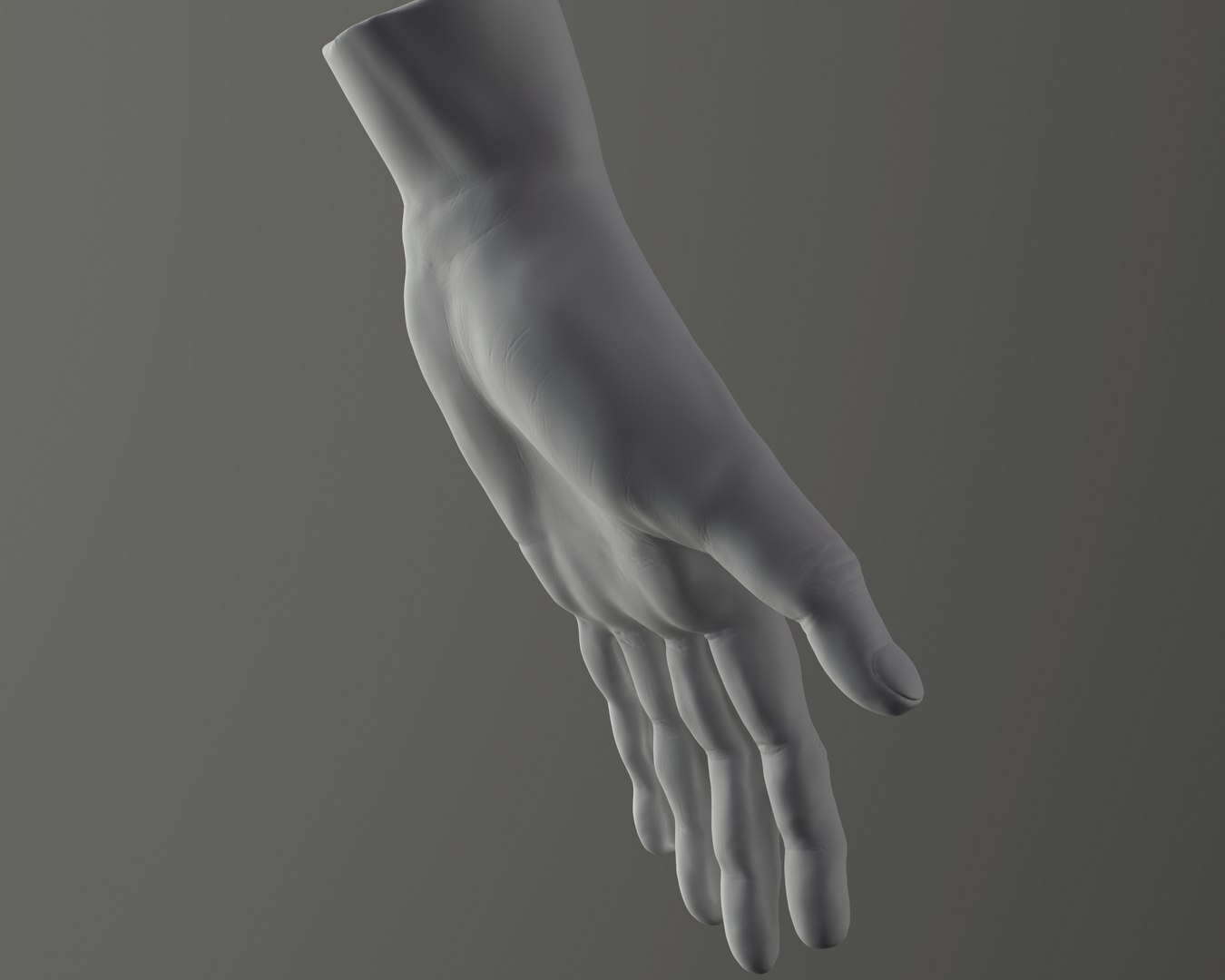 Male Hand 3D Model - TurboSquid 1589043
