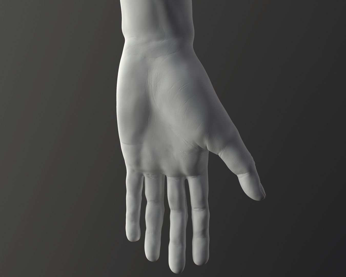 Male Hand 3D Model - TurboSquid 1589043