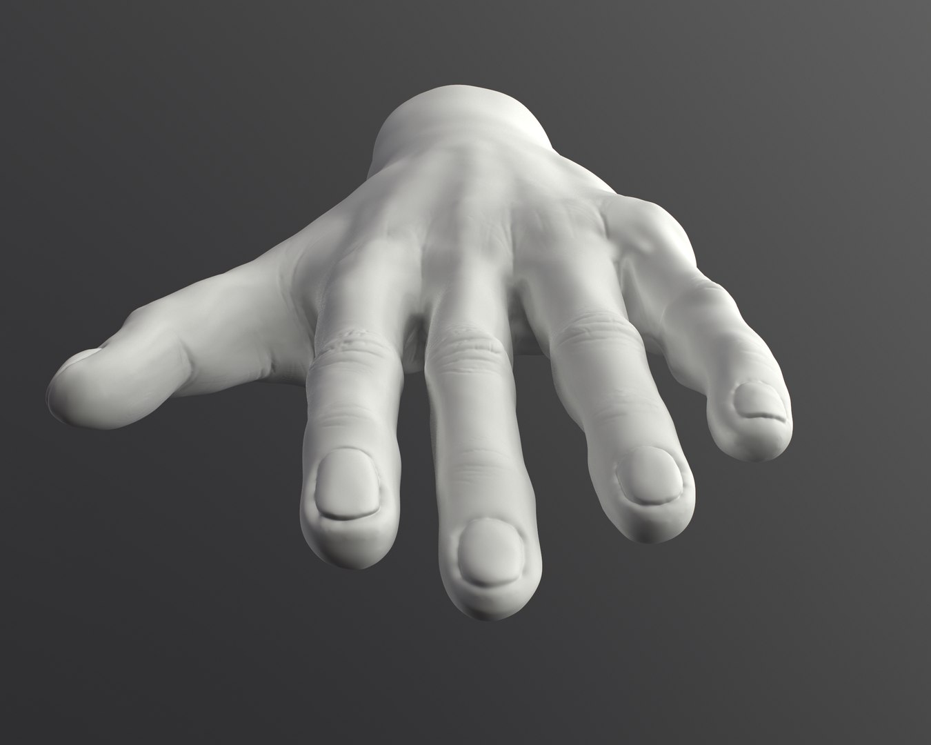 Male Hand 3D Model - TurboSquid 1589043