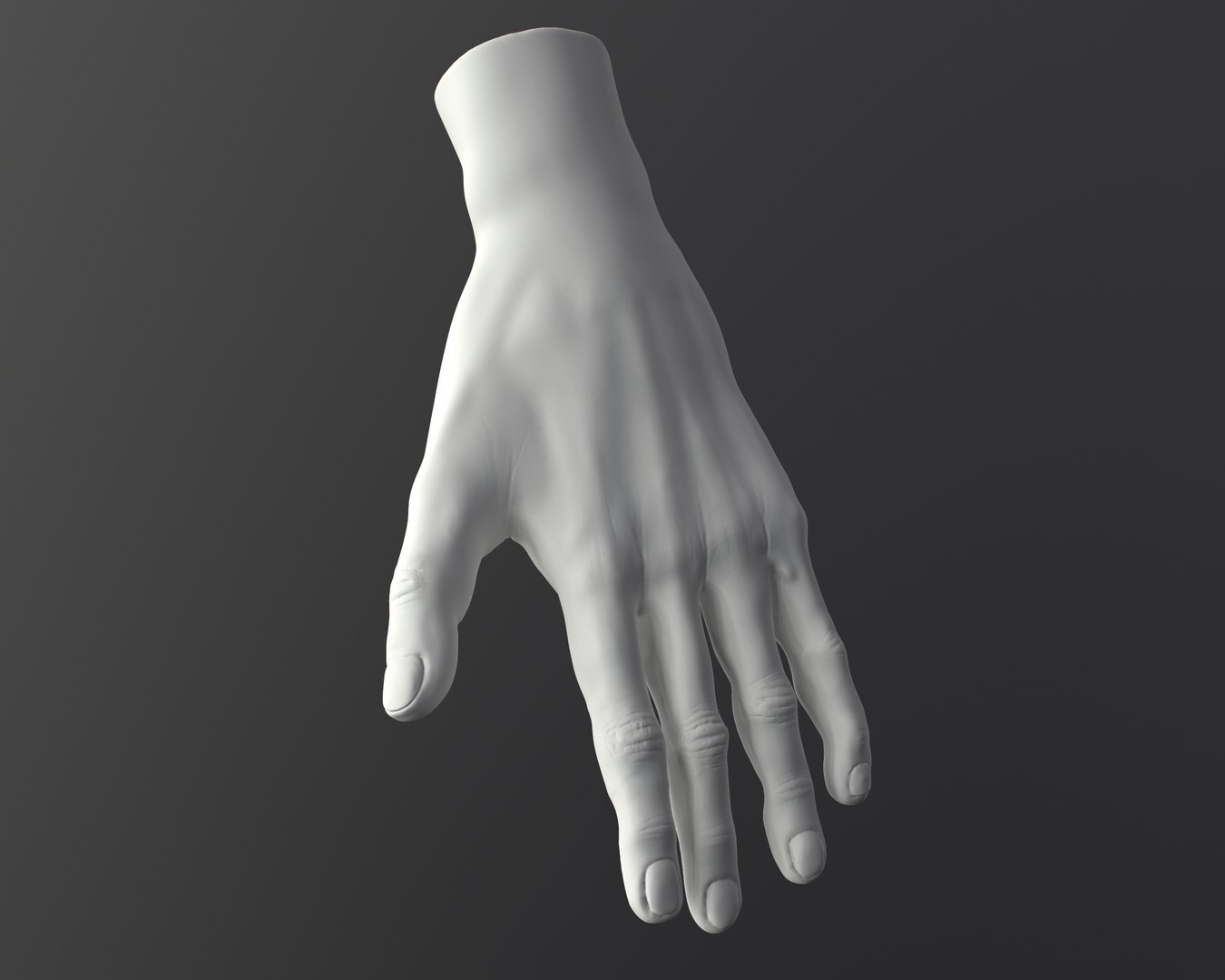 Male Hand 3D Model - TurboSquid 1589043