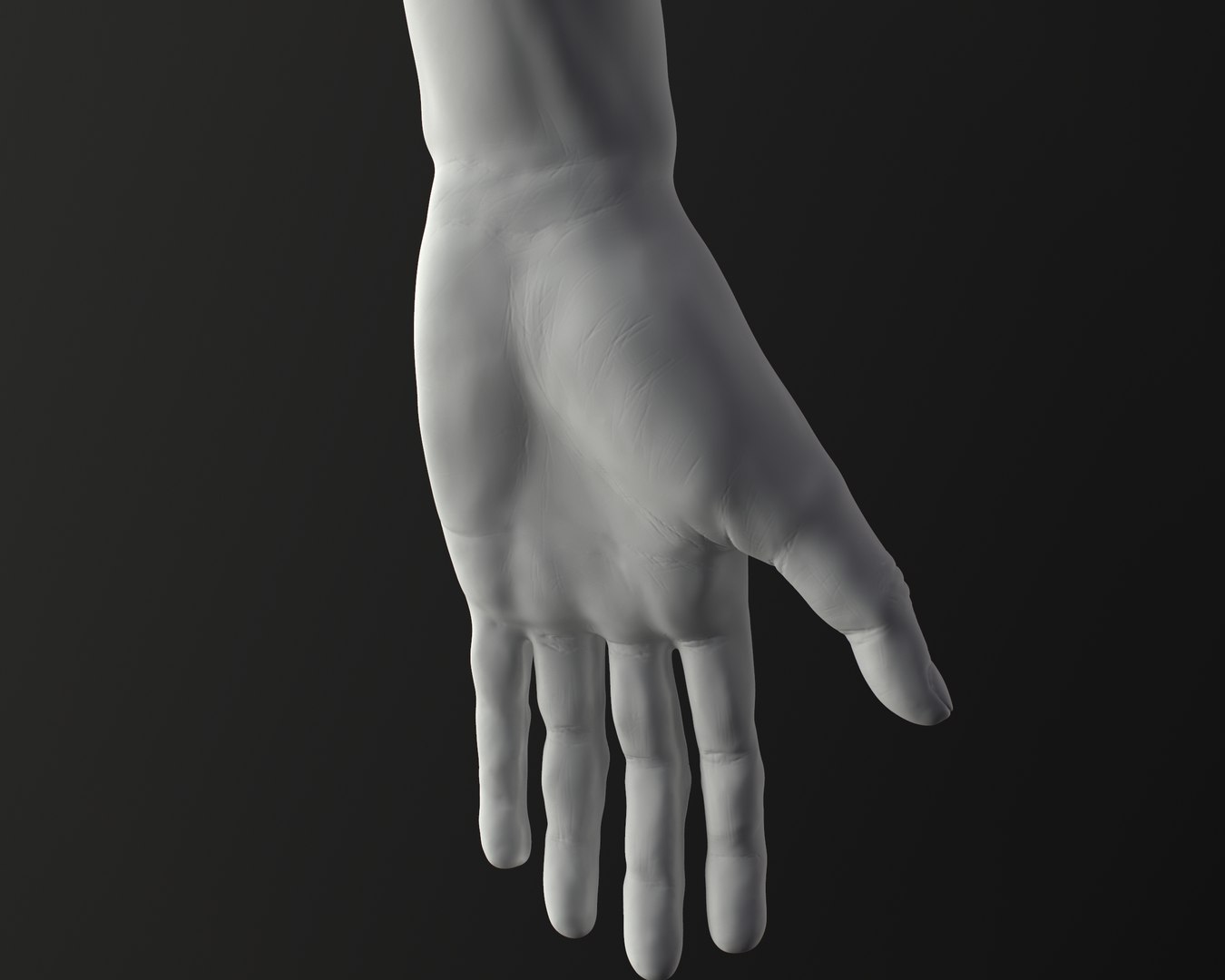 Male Hand 3D Model - TurboSquid 1589043