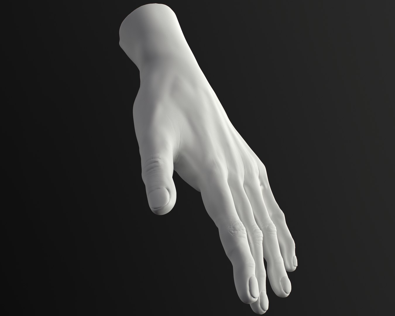 Male Hand 3D Model - TurboSquid 1589043