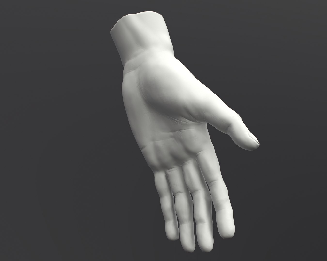 Male Hand 3D Model - TurboSquid 1589043