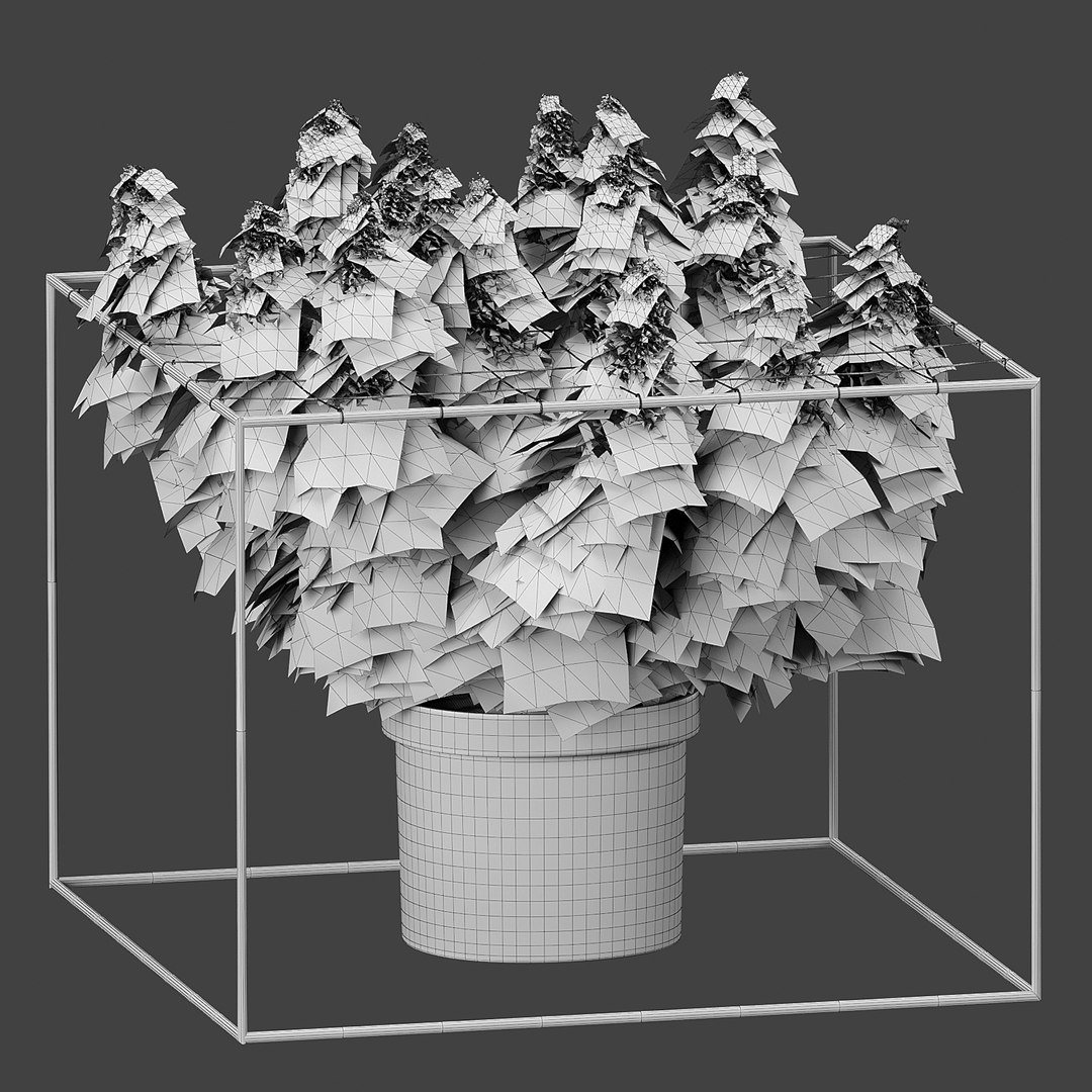 3D FLOWER PACK 251 CANNABIS Model - TurboSquid 1903885