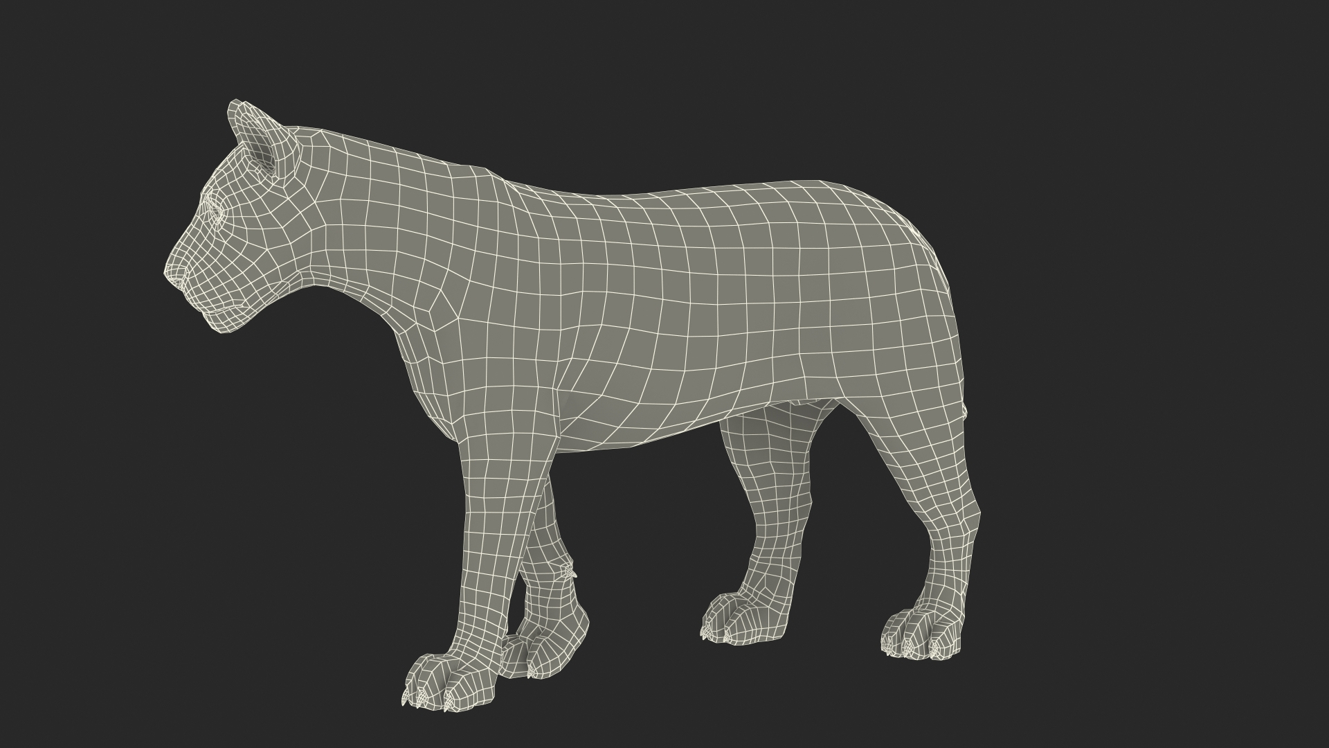 3D Lion Walking Pose Fur model - TurboSquid 1755570
