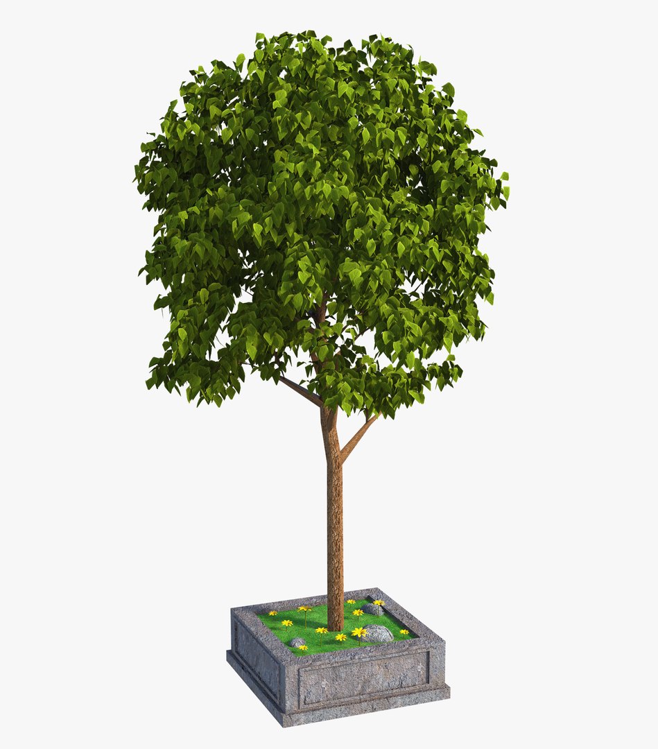 Tree Model - TurboSquid 1379215