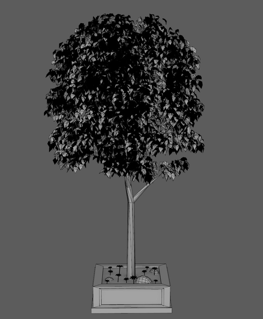 Tree Model - TurboSquid 1379215