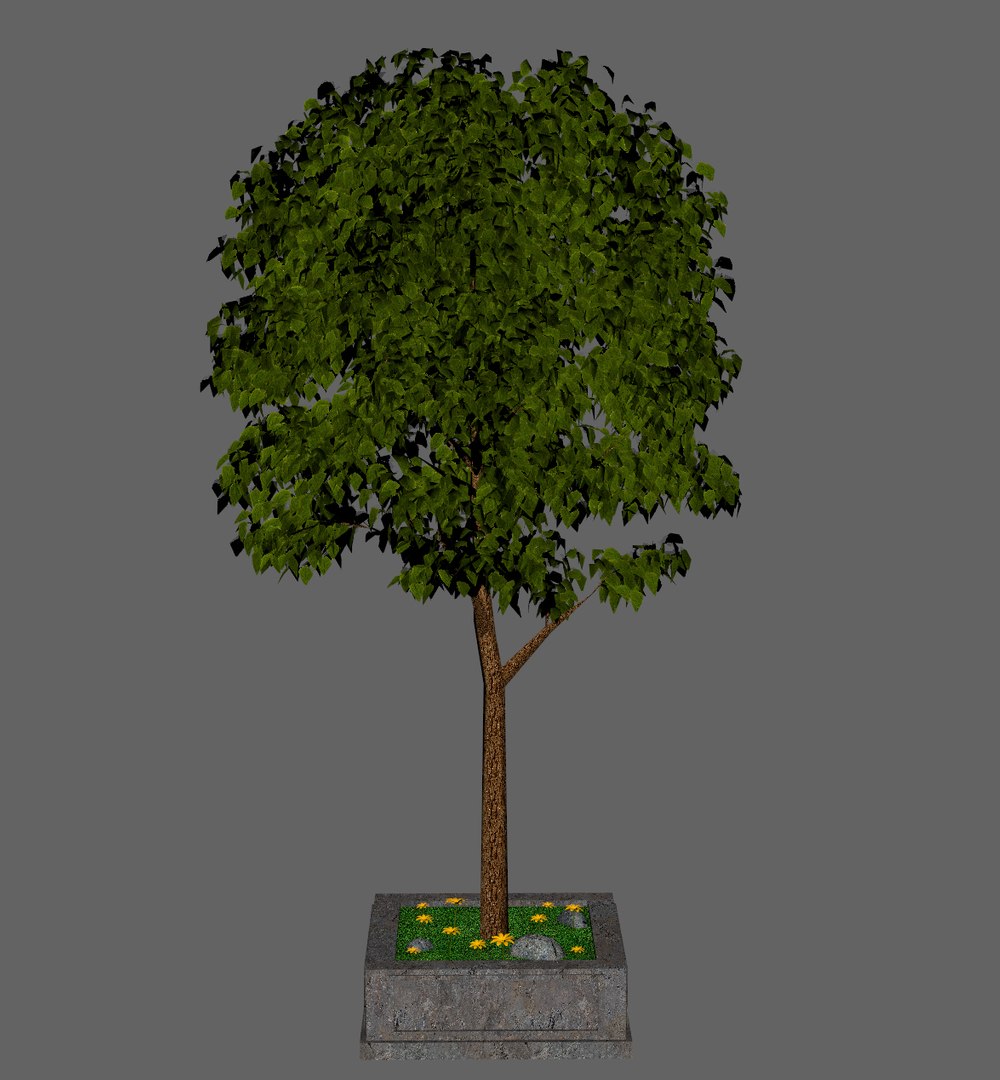 Tree Model - TurboSquid 1379215