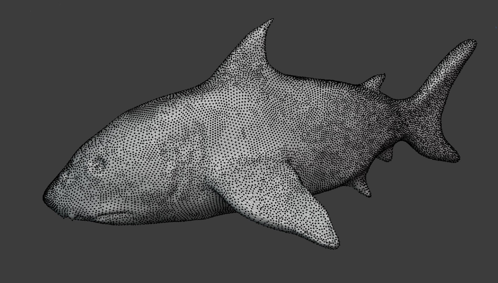 3D Shark Blender Sculpting Model - TurboSquid 1691239