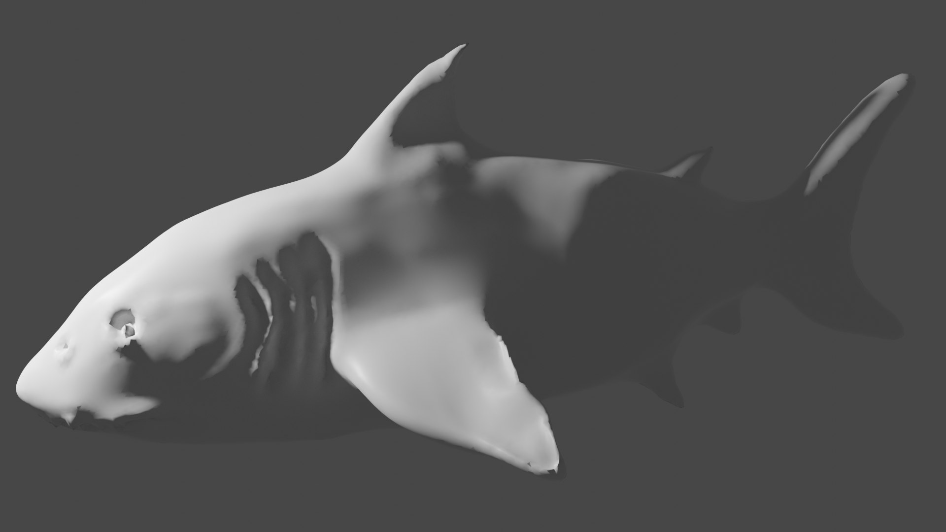 3D Shark Blender Sculpting Model - TurboSquid 1691239