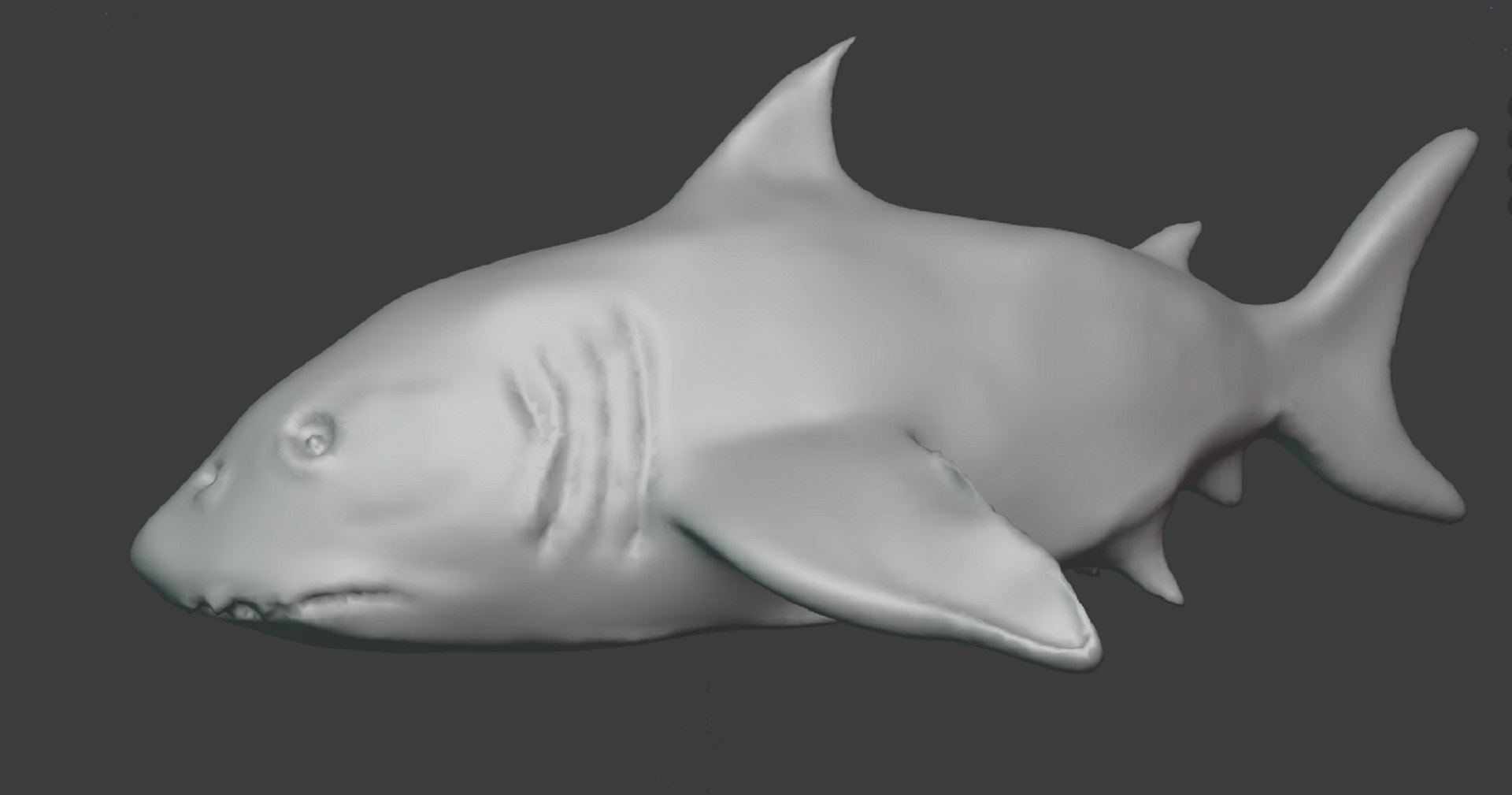 3D Shark Blender Sculpting Model - TurboSquid 1691239