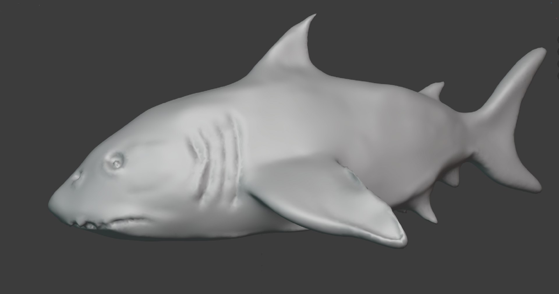3D Shark Blender Sculpting Model - TurboSquid 1691239