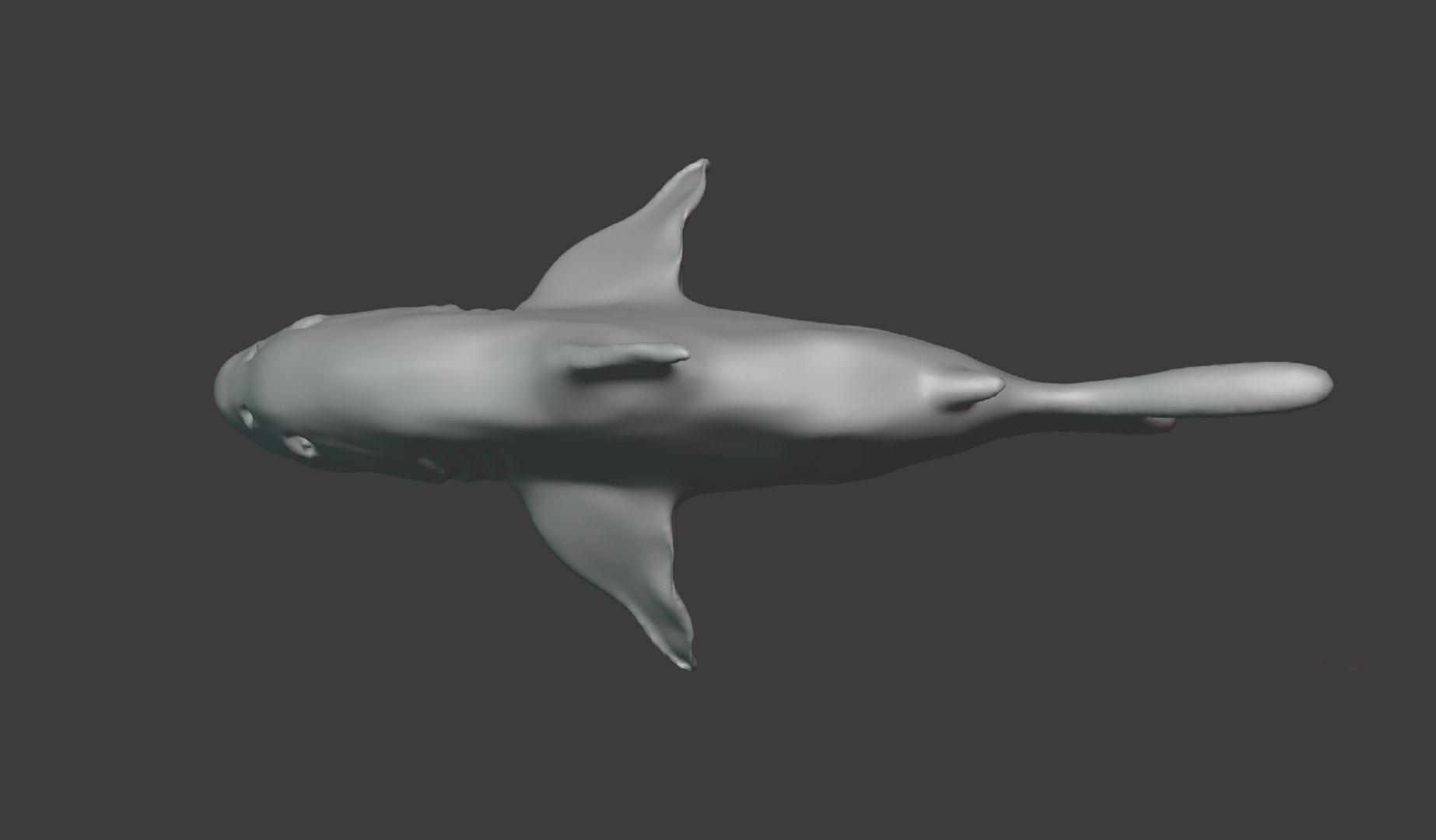 3D Shark Blender Sculpting Model - TurboSquid 1691239