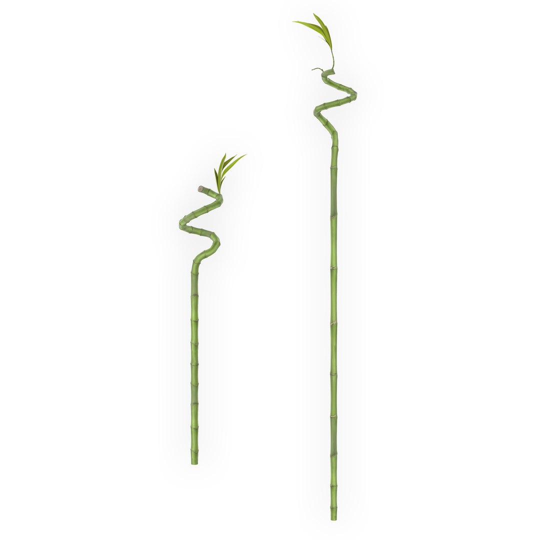 Obj Lucky Bamboo Stick