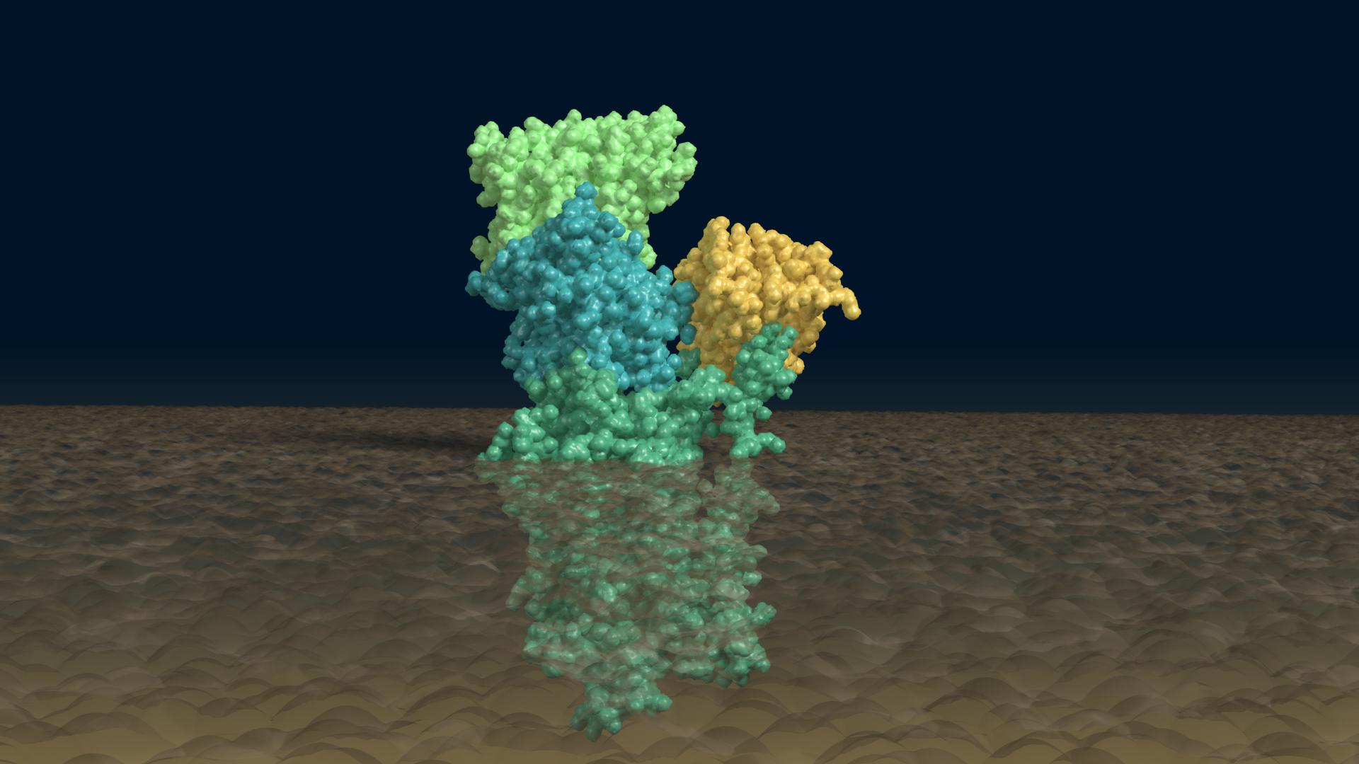 3D Model Cell Membrane - Animated Calcium Pump - TurboSquid 2293826