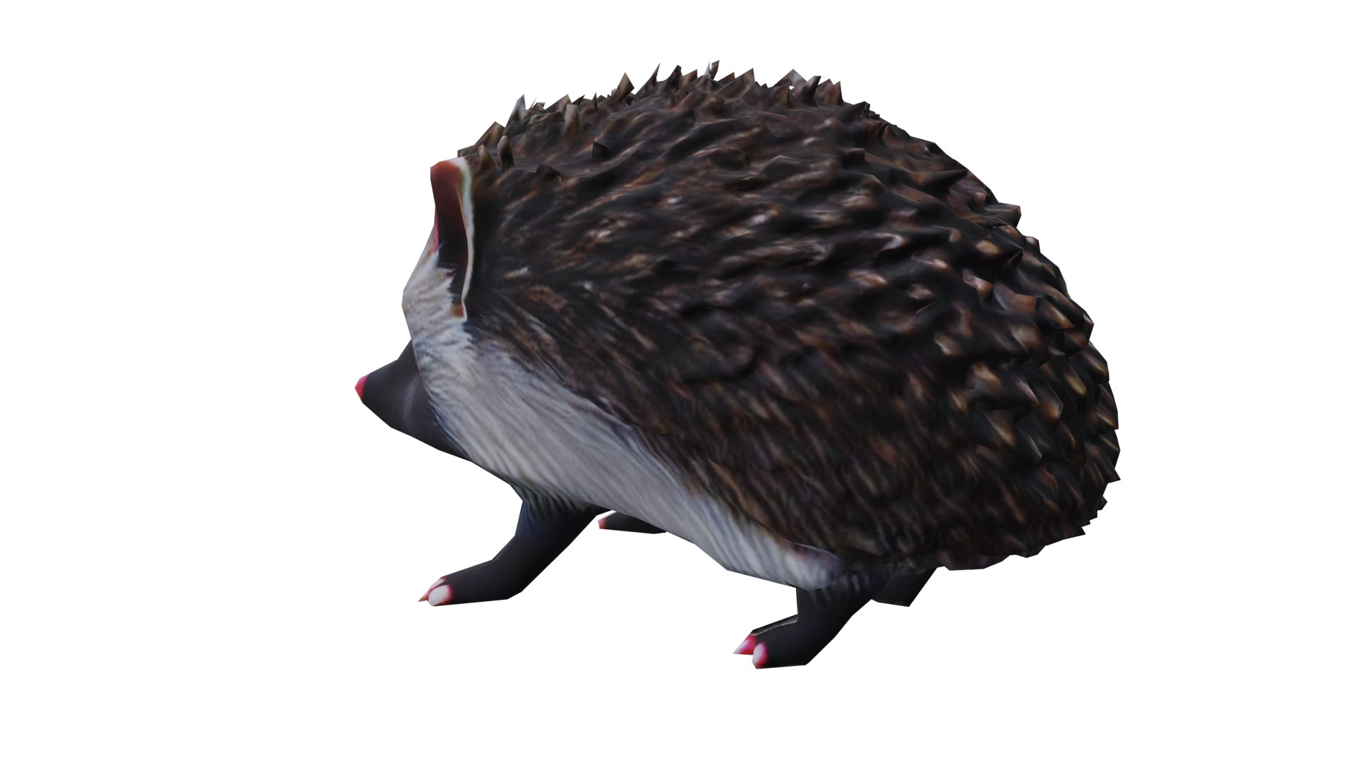 3D Long-eared Hedgehog Low-poly PBR - TurboSquid 2206906