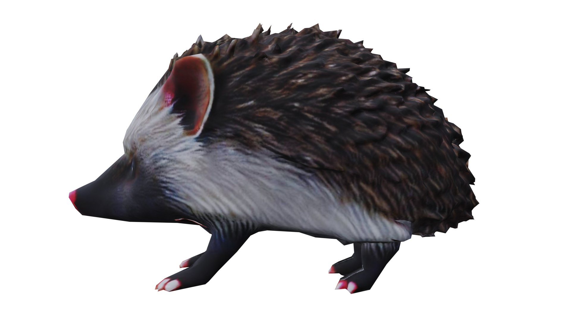 3D Long-eared Hedgehog Low-poly PBR - TurboSquid 2206906